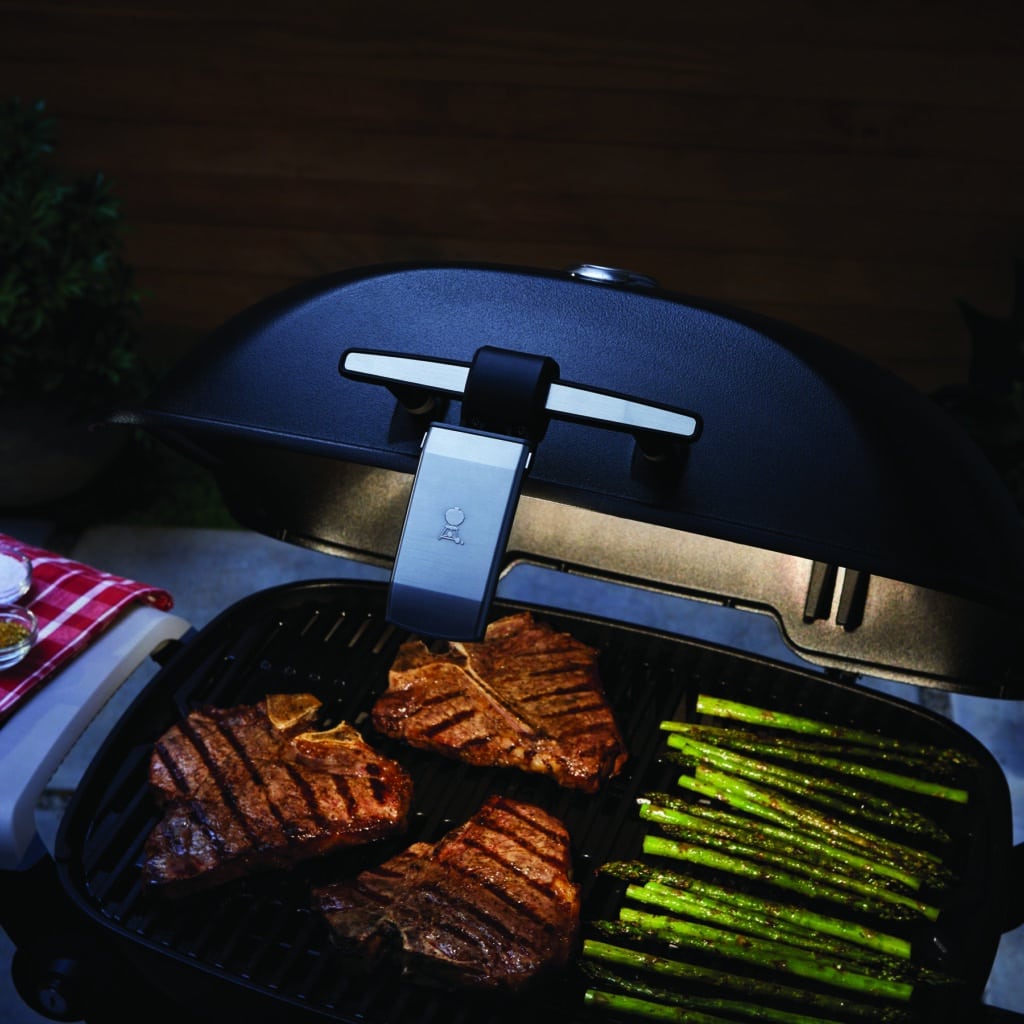 Weber Baby Q and Q Grill n Go Light - BBQ Central